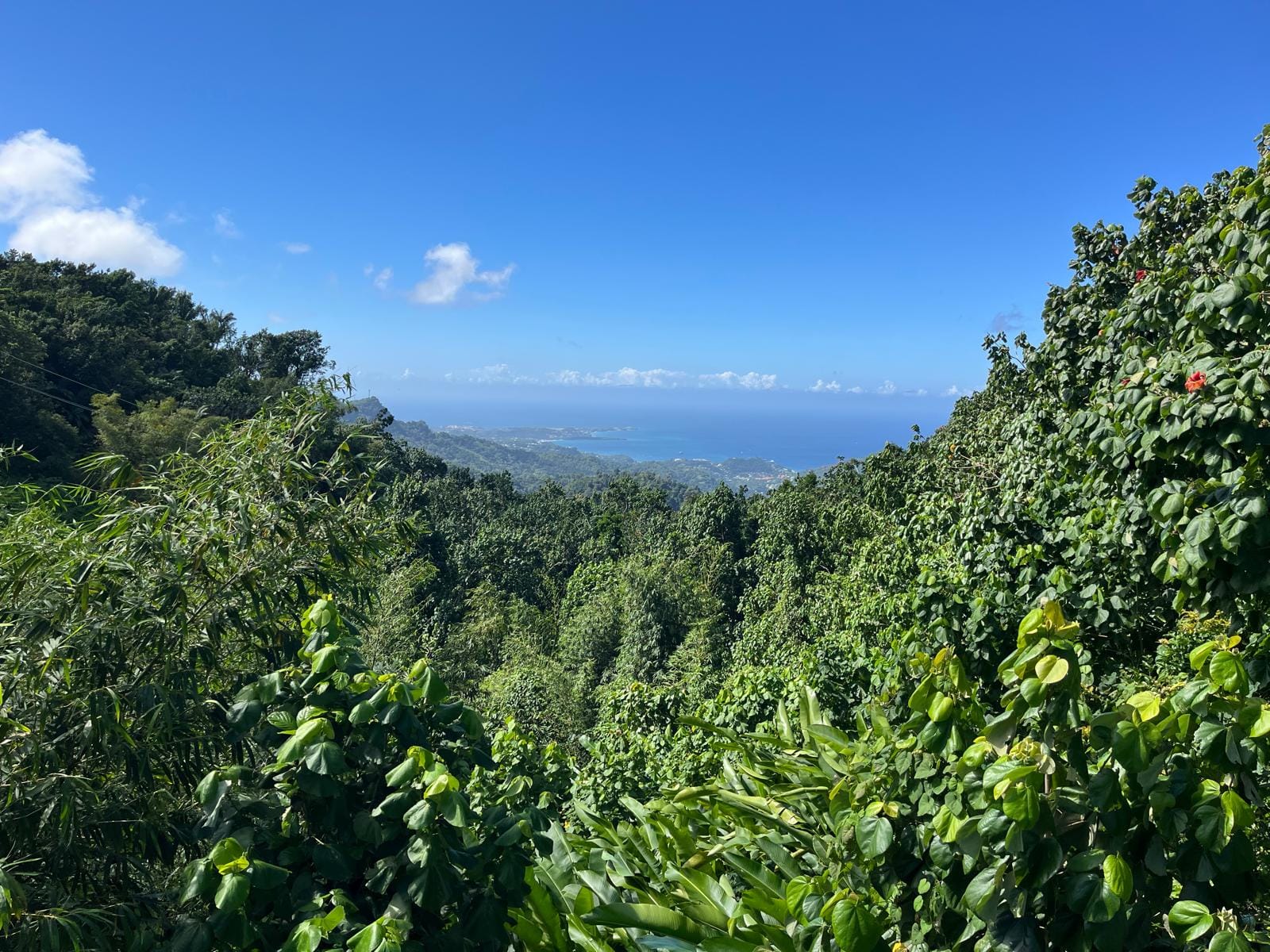 January and February 2025